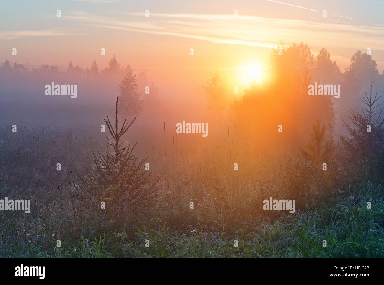 Landscape first rays sun hi-res stock photography and images - Alamy