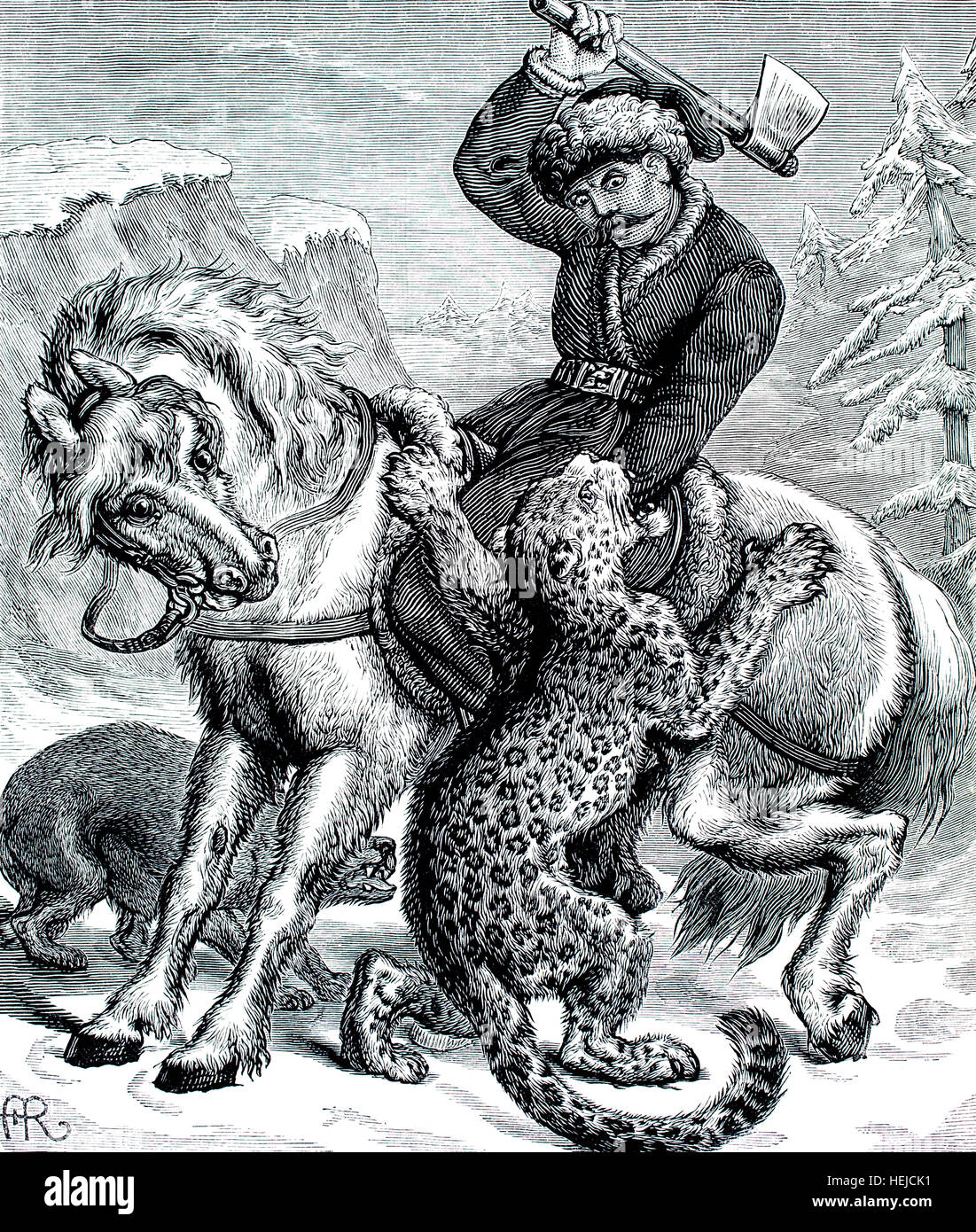 19th century illustrations panther hi-res stock photography and images ...