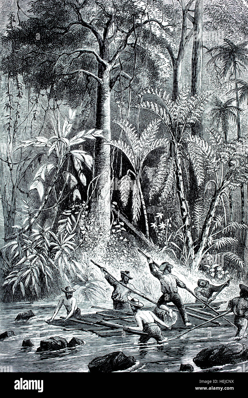 Explorers floating down river in Central America, illustration from ...