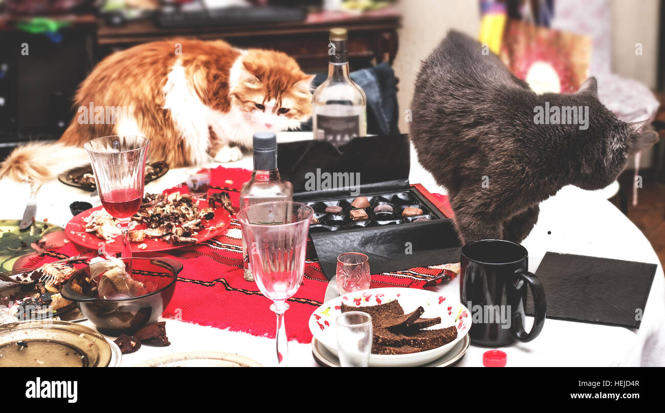 Messy table hi-res stock photography and images - Alamy