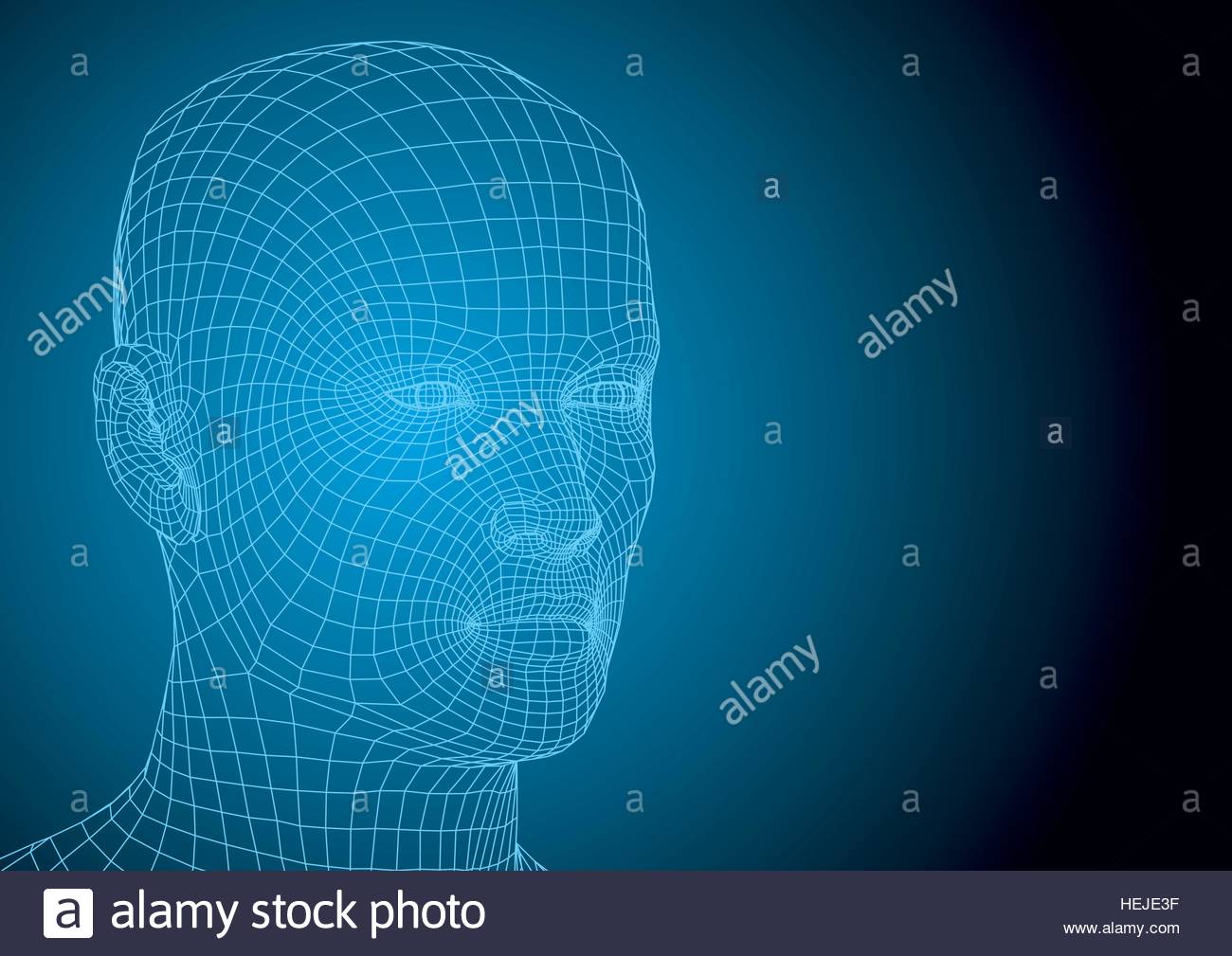 Human Head Wireframe Stock Photos & Human Head Wireframe Stock Images ...
