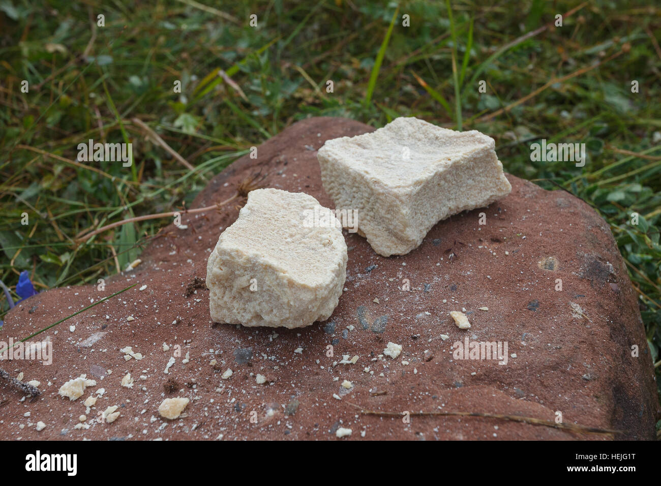 Pieces of Kazakh qurt (dried salted cheese) on the stone Stock Photo ...