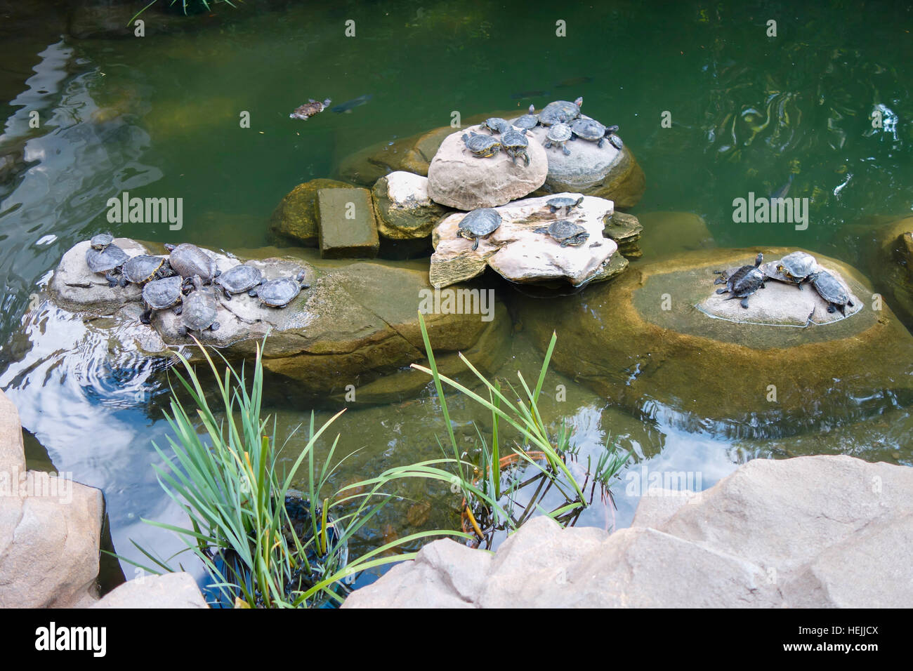 Greenland And Hong Kong High Resolution Stock Photography and Images ...