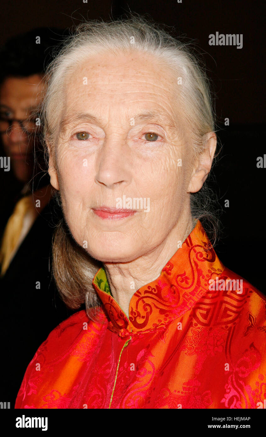 Baroness jane van lawick goodall hi-res stock photography and images ...