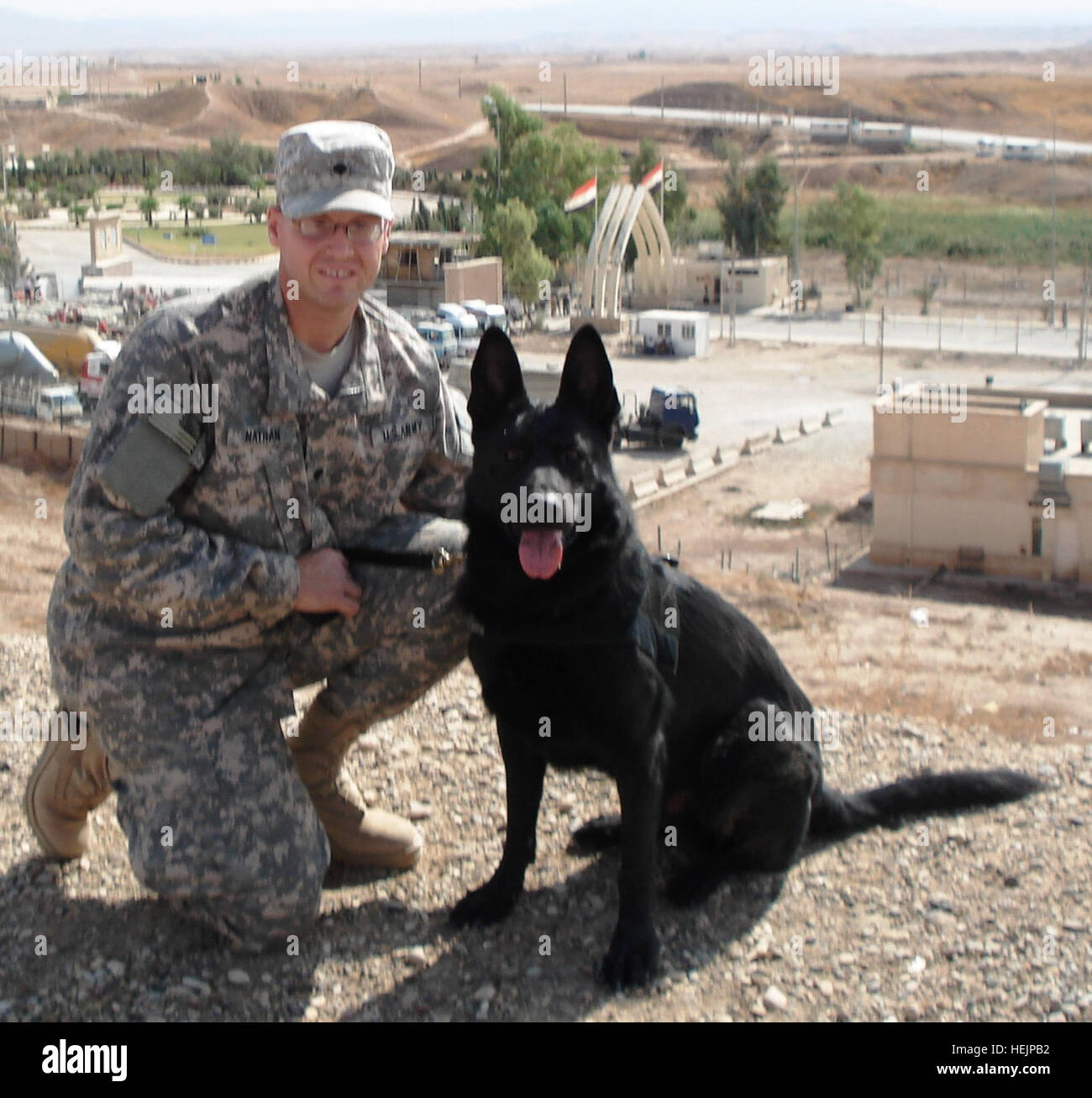 Specialized search dog hi-res stock photography and images - Alamy