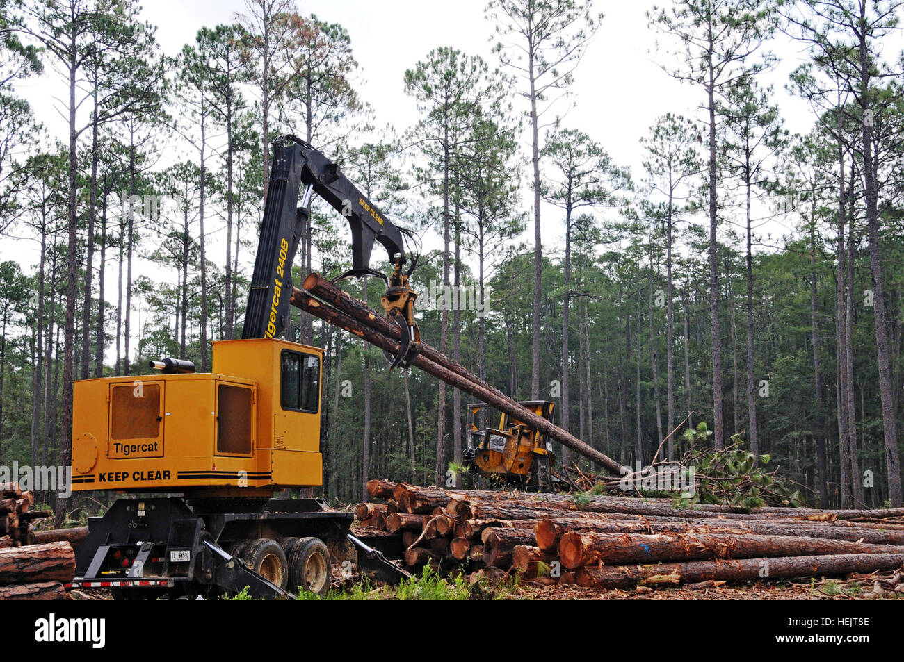 Tigercat 240B Knuckleboom Loader Stock Photo - Alamy