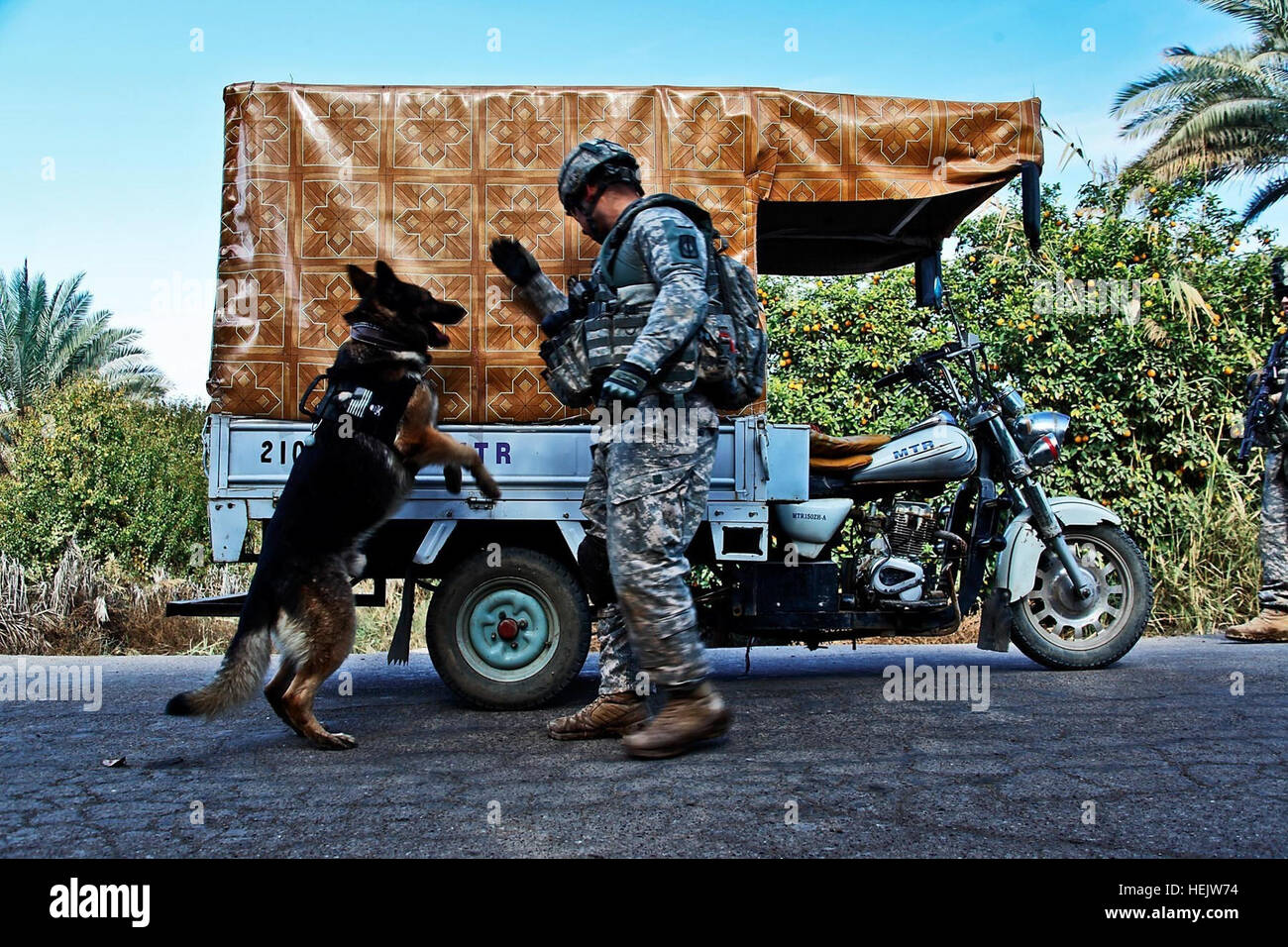 U.S. Army Staff Sgt. Marcelo Fiqueroa, a working military dog handler ...