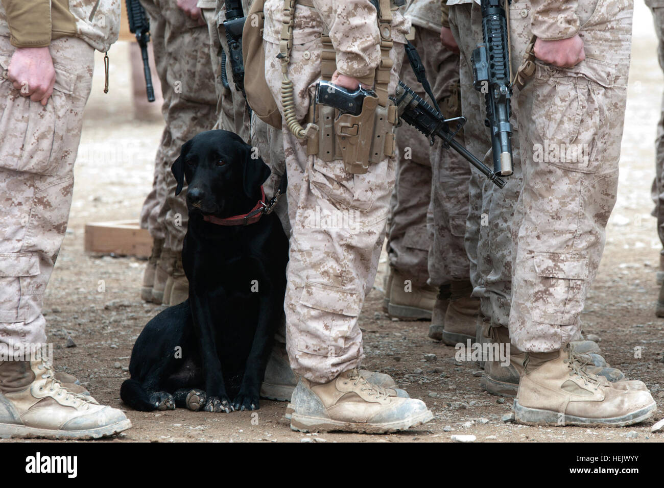 466 eod flight hi-res stock photography and images - Alamy