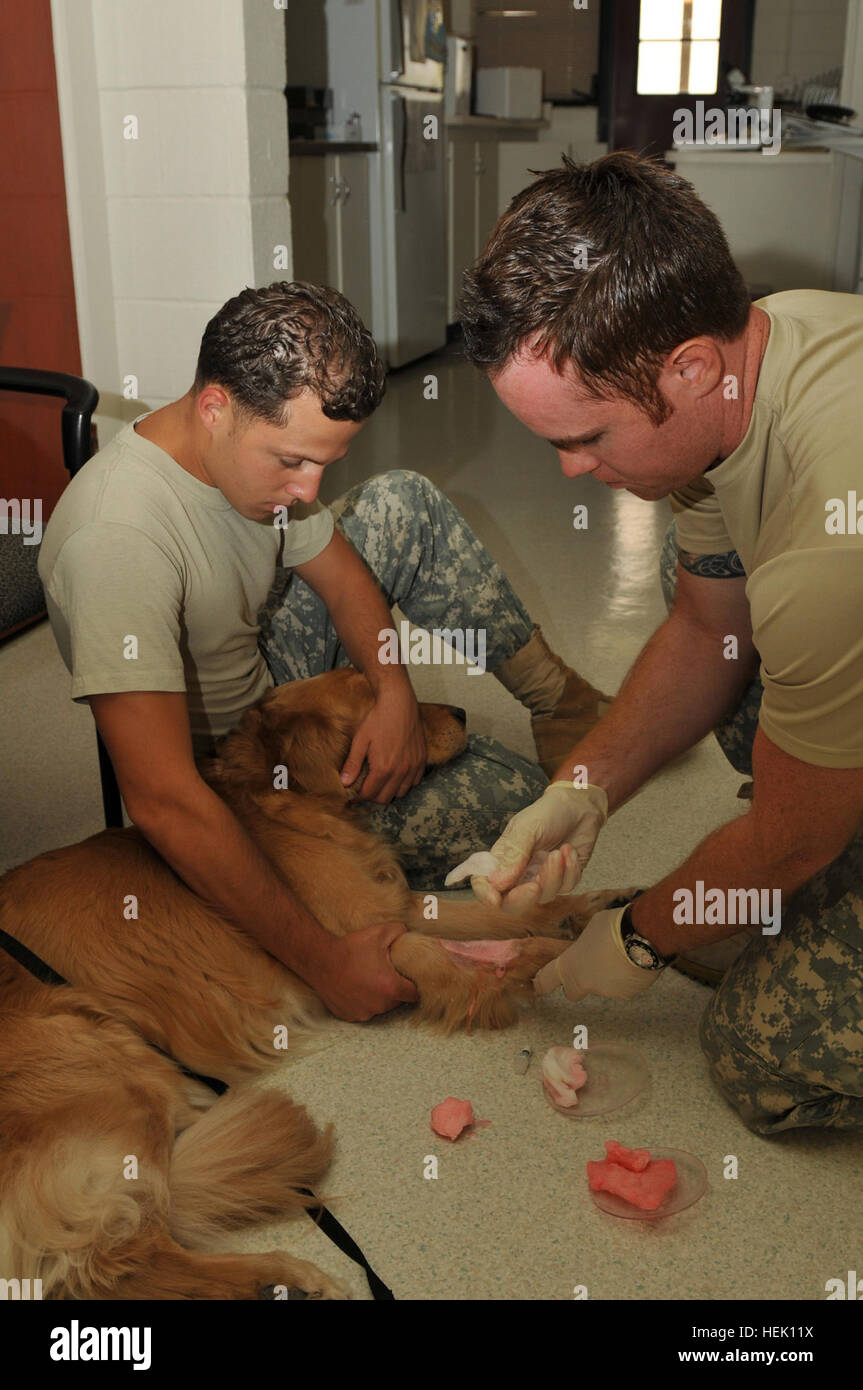 GUANTANAMO BAY, Cuba – U.S. Army Sgt. Ardicio V. Galvao (left) and U.S ...