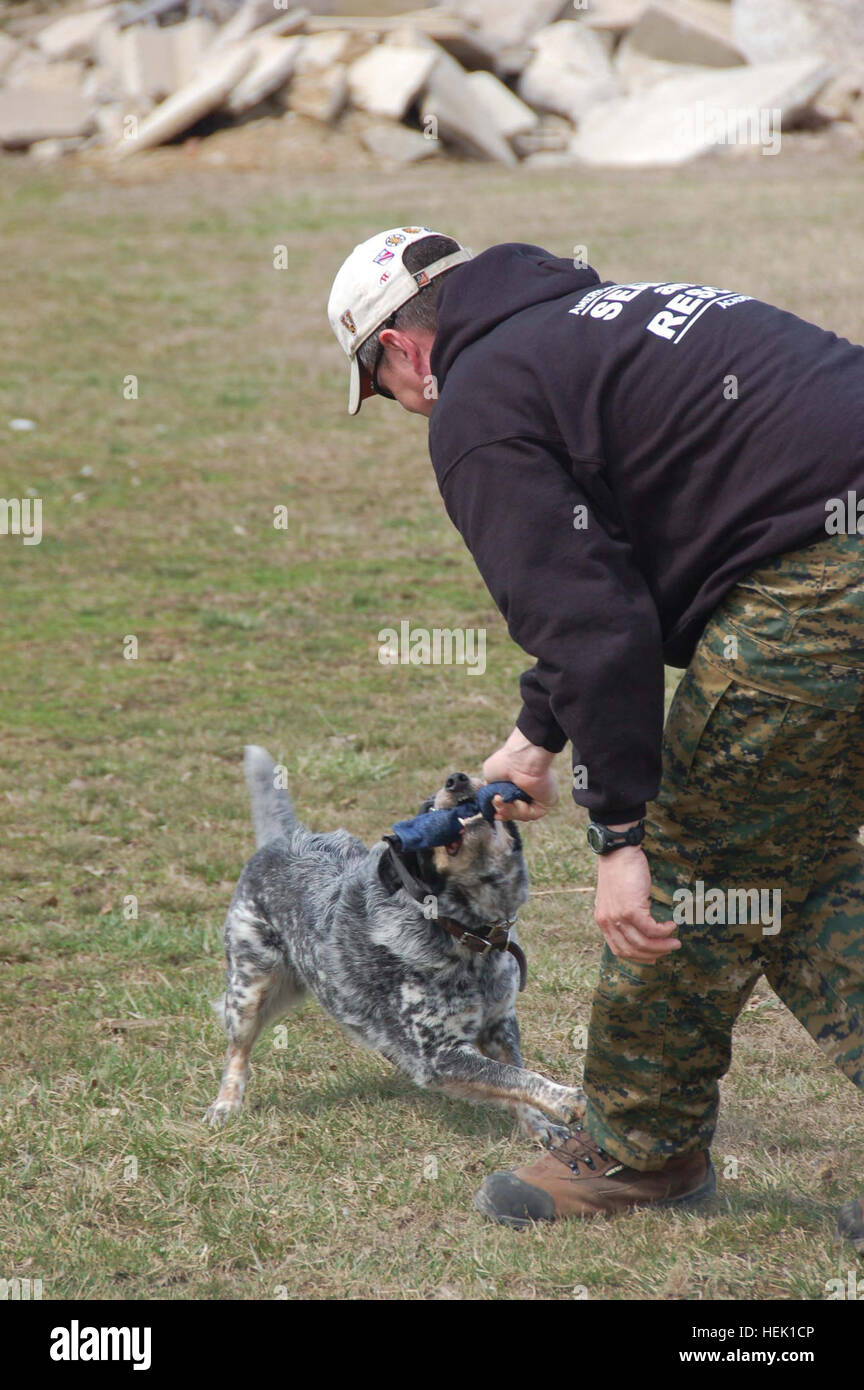 Human handlers hi-res stock photography and images - Alamy