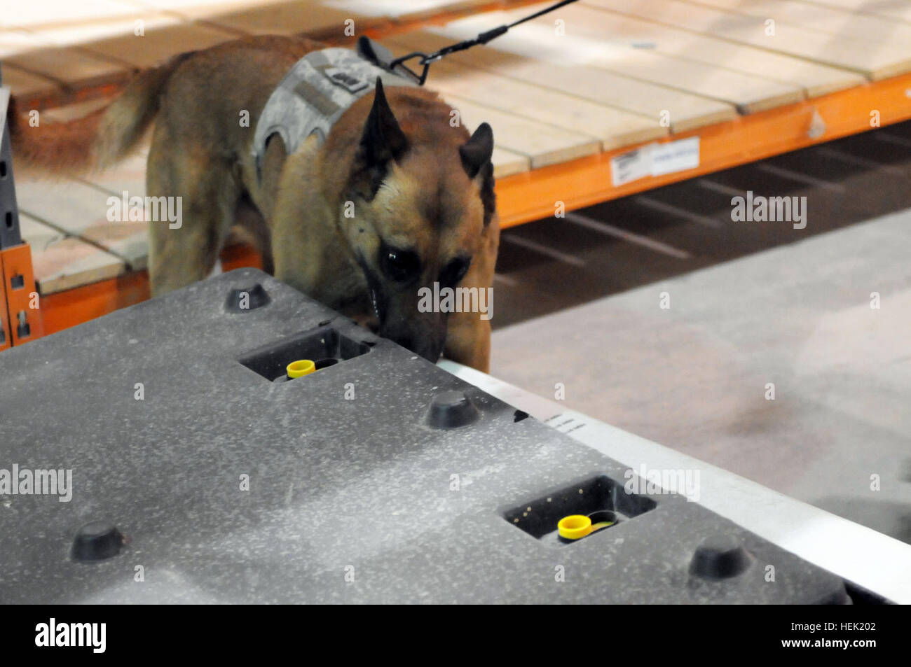During a training exercise at Victory Base Complex April 5, patrol ...