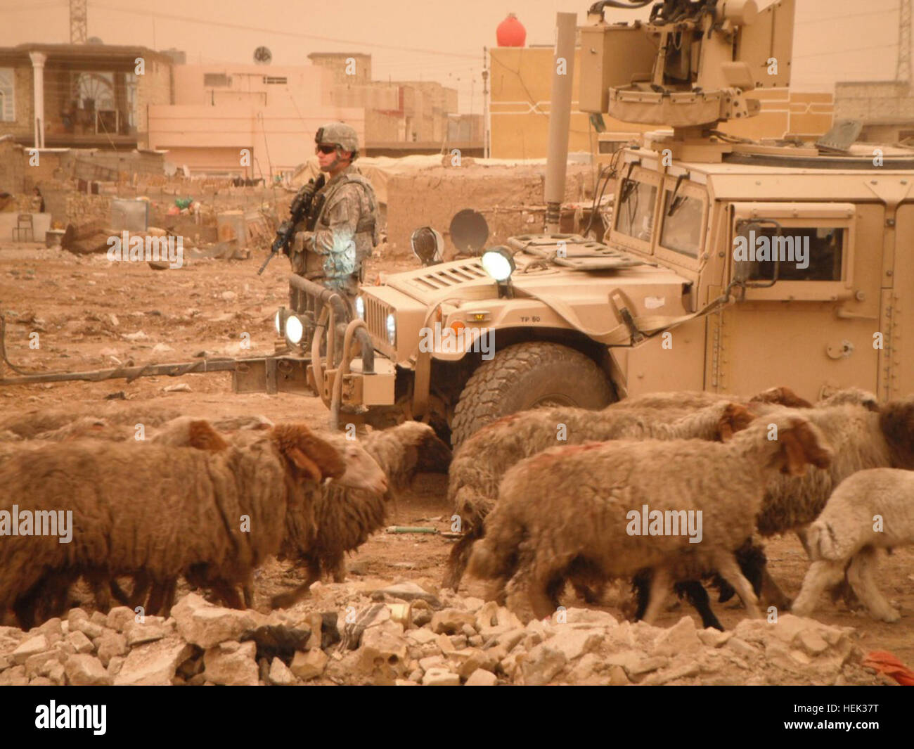 As the sun crests the horizon, 1st Lt. Erik Rekedal, a platoon leader ...