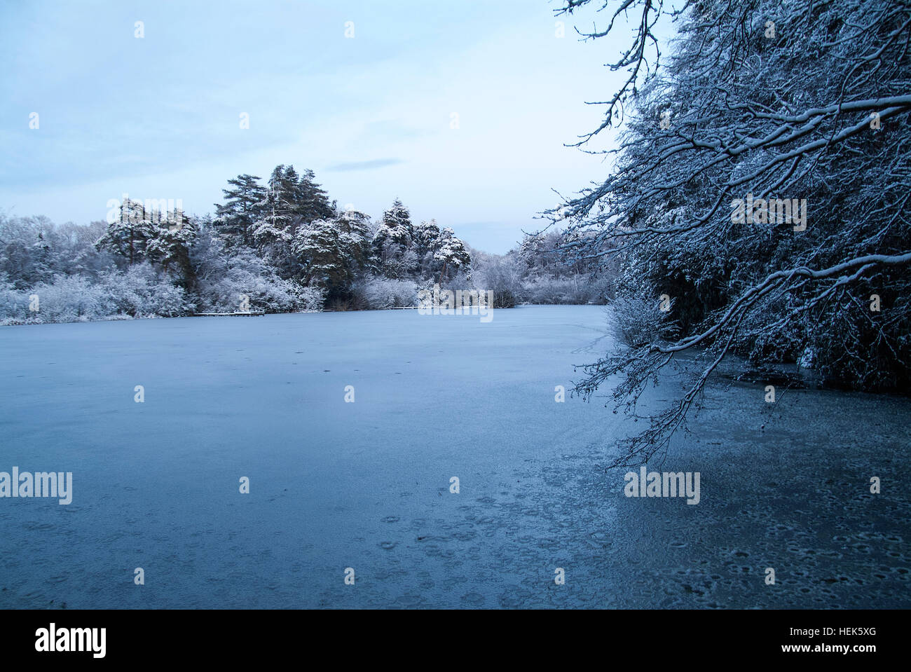 Westwick (Captain's) pond near North Walsham, North Norfolk, England UK ...