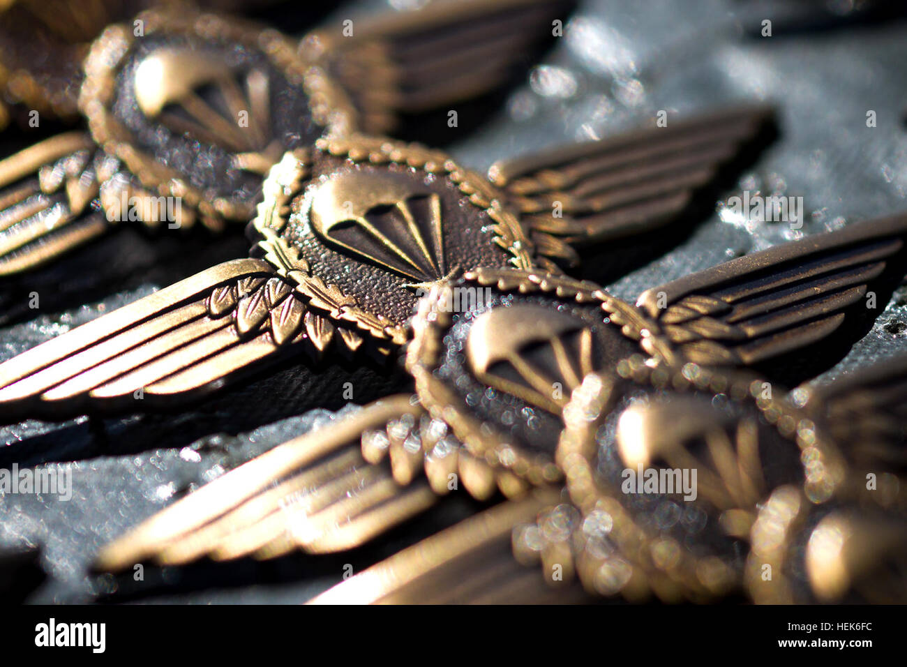 German jump wings hi-res stock photography and images - Alamy