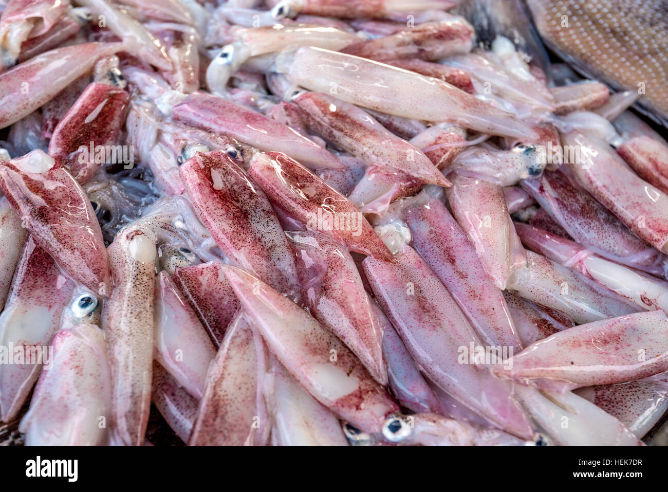 Fresh raw squid at fish market in Asia Stock Photo - Alamy