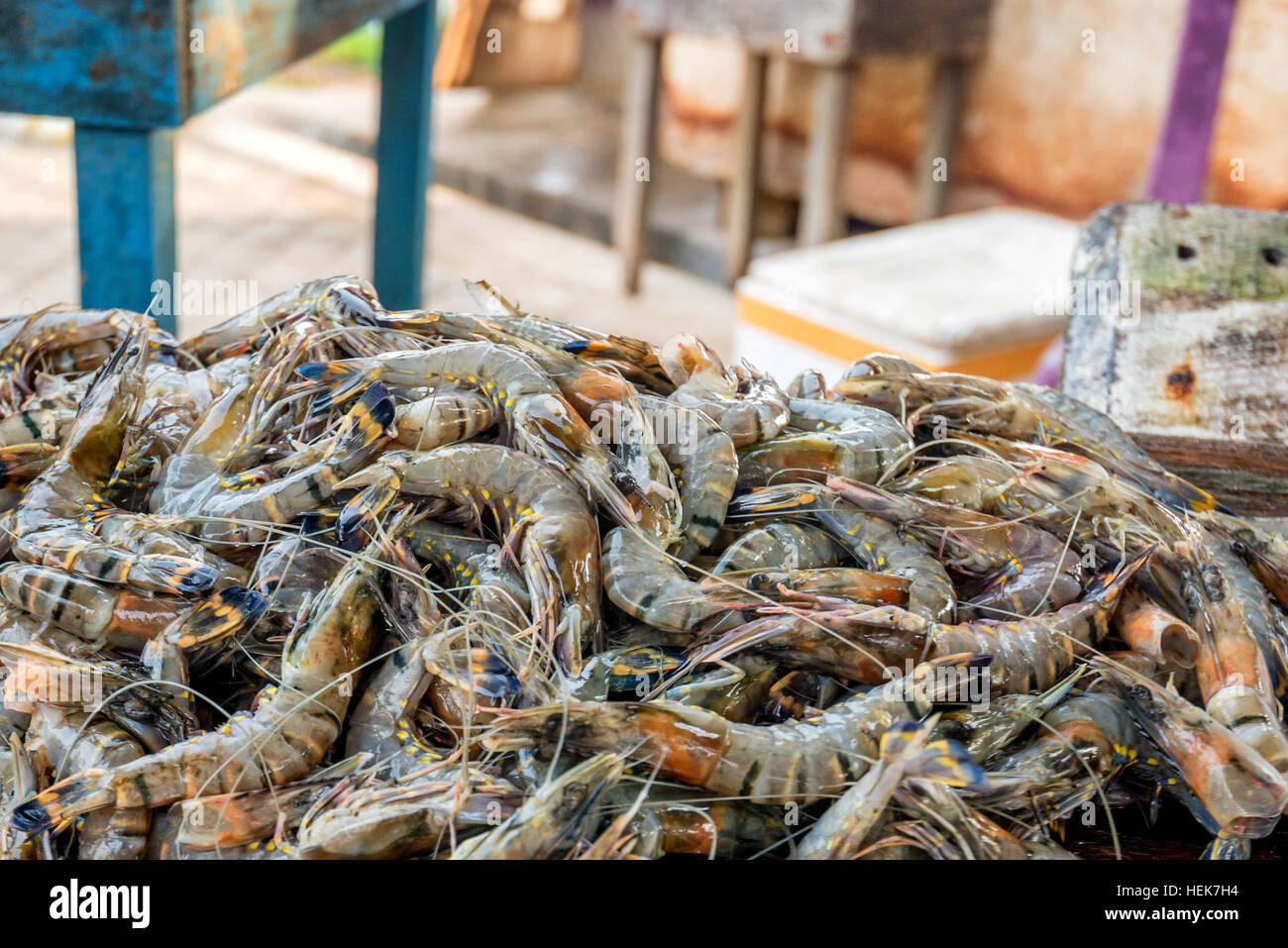 Fresh raw tiger prawns or Penaeus monodon at Asian fish market Stock ...