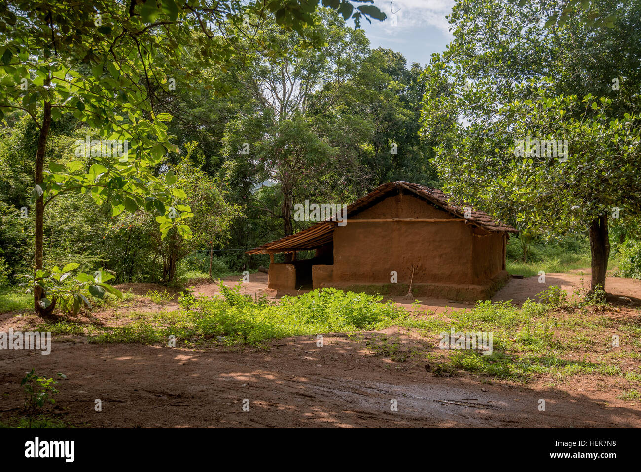 Typical house of vedda people living in Sri Lanka Stock Photo - Alamy