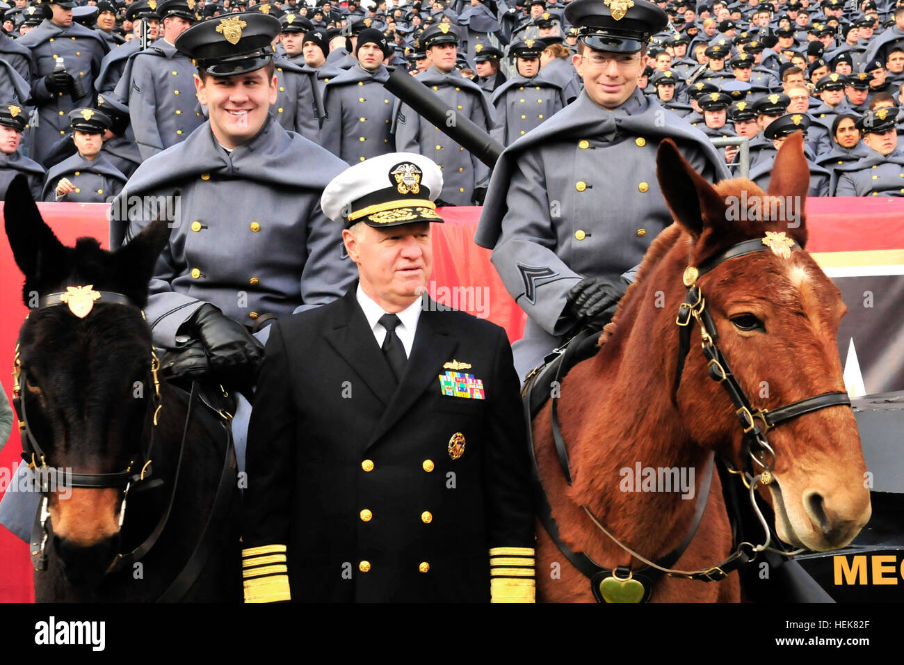 Team army navy face hi-res stock photography and images - Alamy