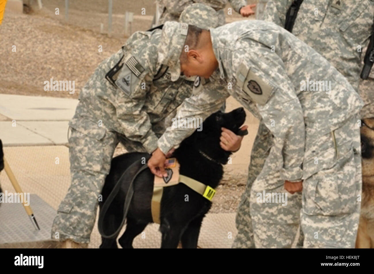 Command Sgt. Maj. Frank M. Leota, command sergeant major, 25th Infantry ...