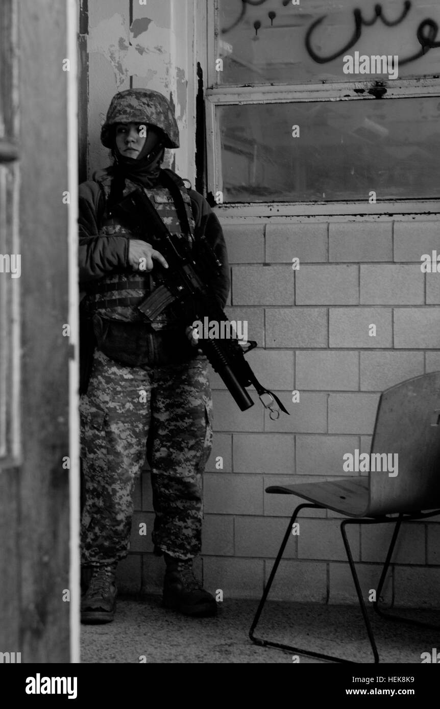 Army expeditionary civilian workforce Black and White Stock Photos ...