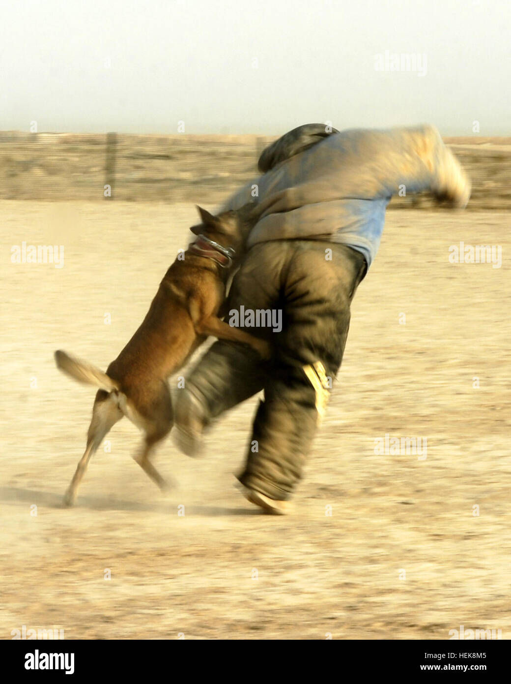 Dog handlers from the 501st Provost Marshall’s Office, K-9 Division ...