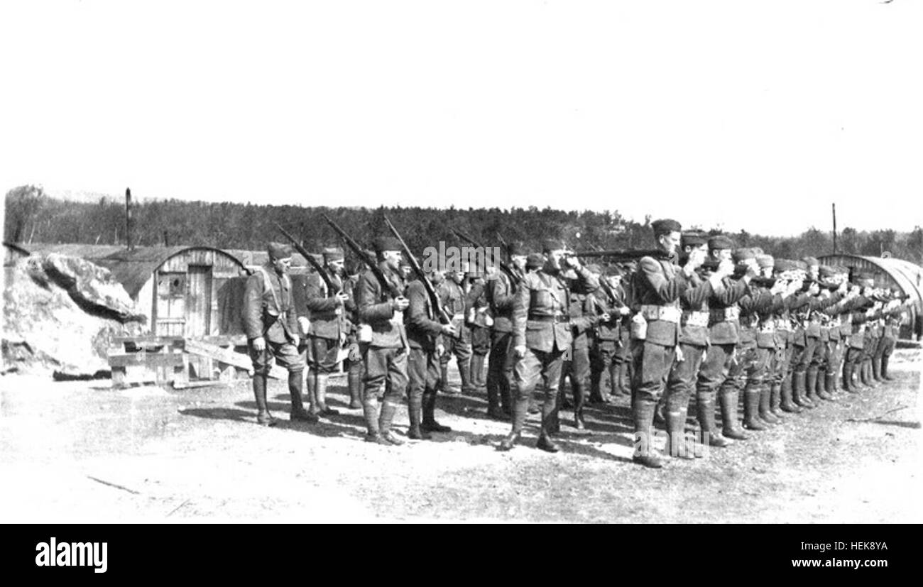 54 Maj. Scales Inspecting Troops. Murmansk Stock Photo - Alamy