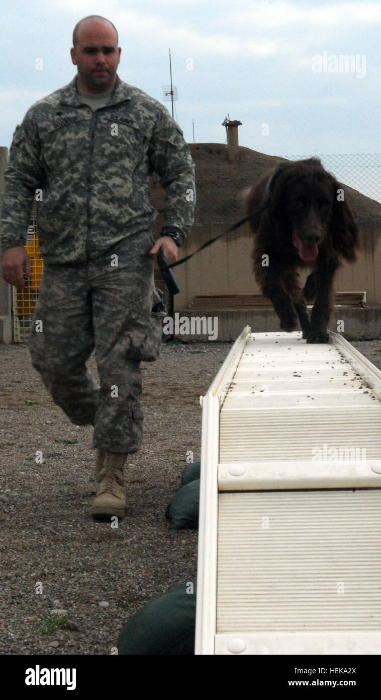 Bryan, a Specialized Search Dog for the U.S. Army and Spc. Chris ...