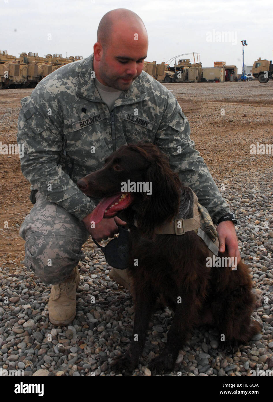 Bryan, a Specialized Search Dog for the U.S. Army and Spc. Chris ...