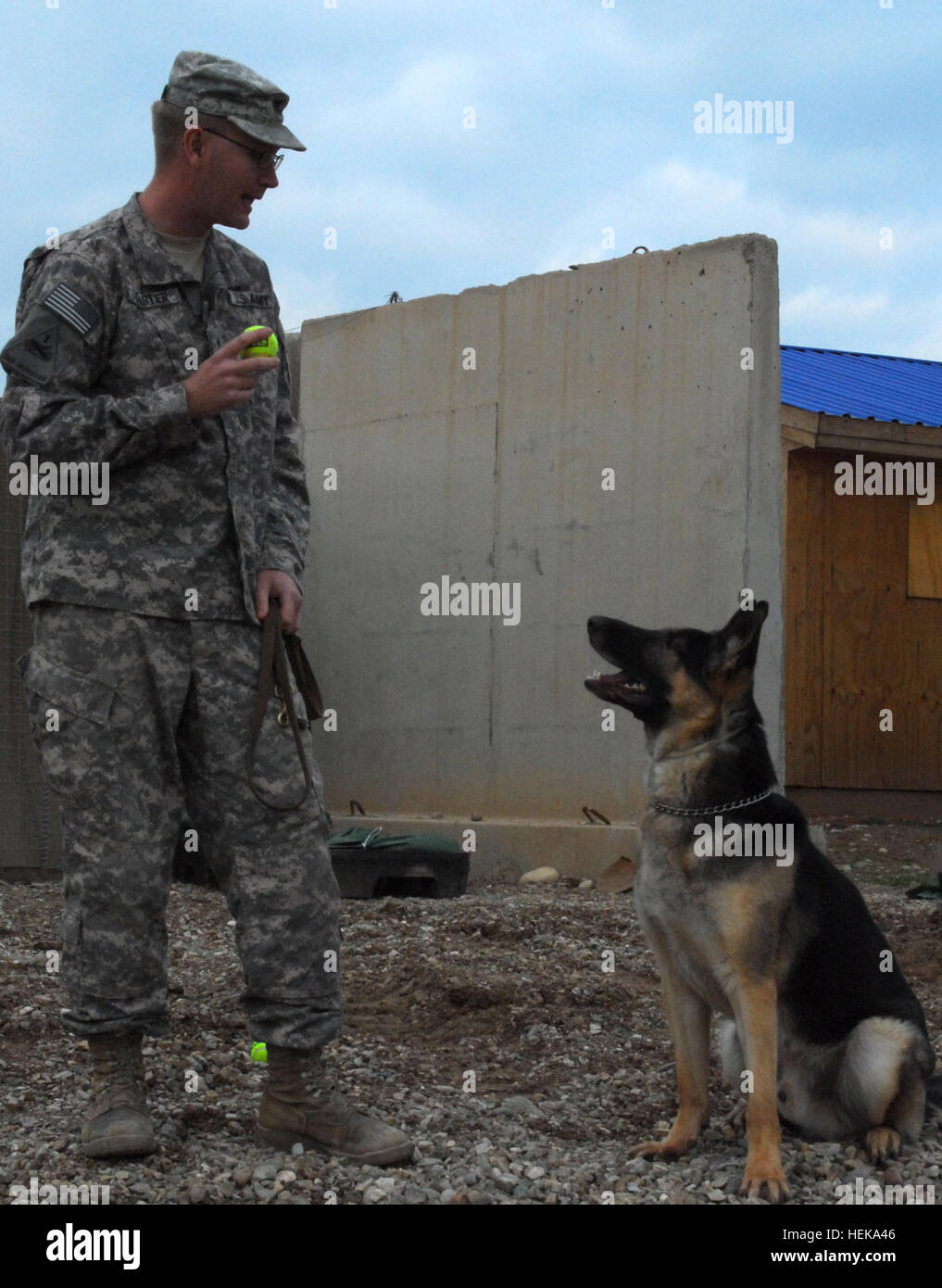 A Patrol/Explosive Detection Dog (PEDD) plays fetch with its handler ...