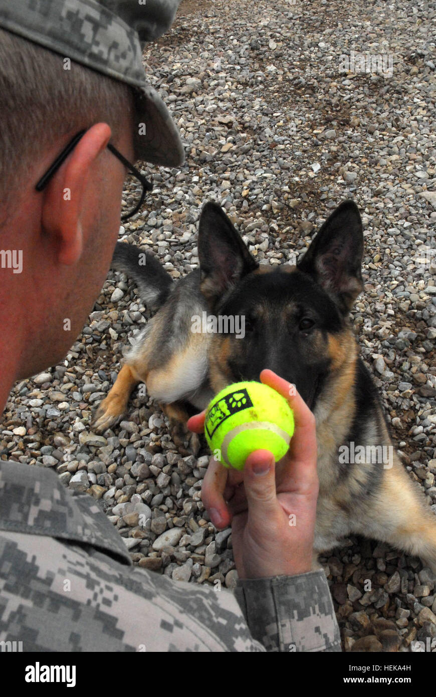 95th mp battalion hi-res stock photography and images - Alamy