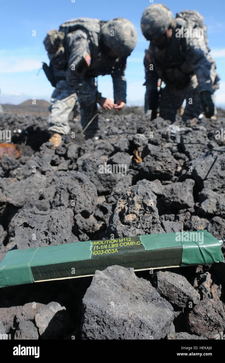 Soldiers with Alpha Company, 29th Brigade Special Troops Battalion ...