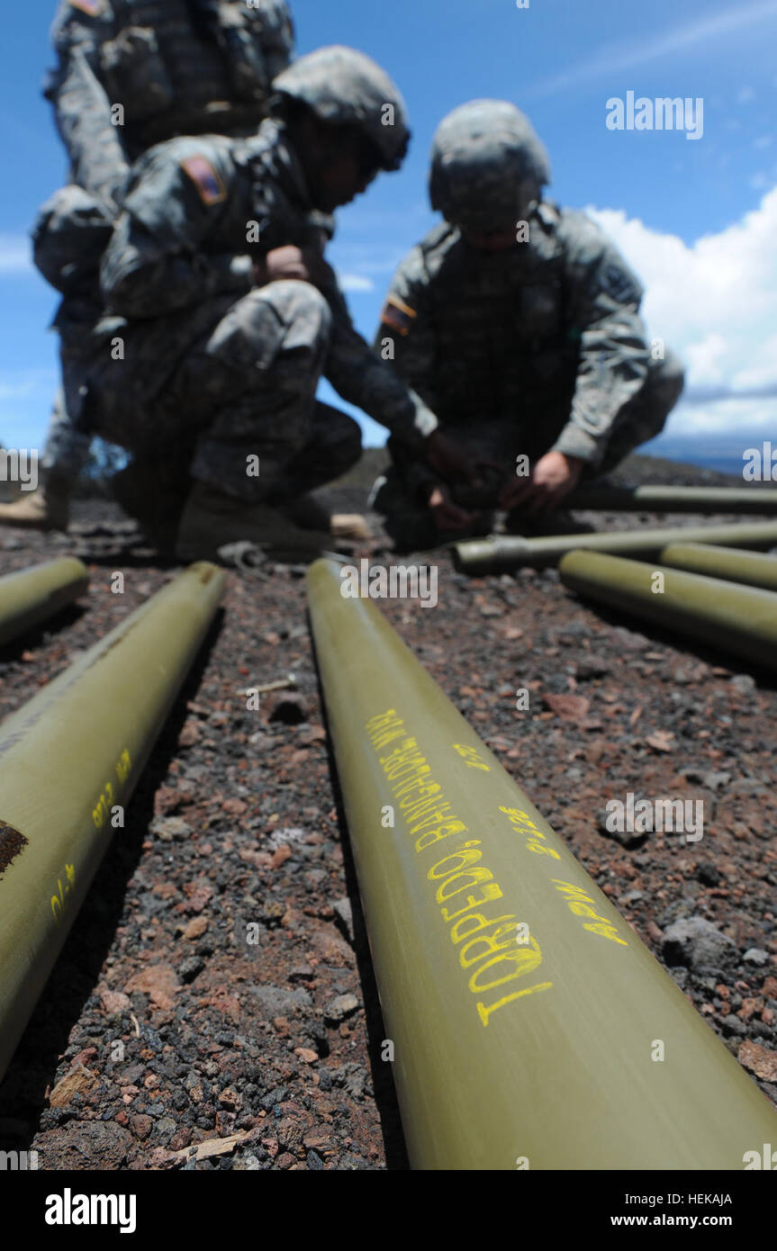 Soldiers with Alpha Company, 29th Brigade Special Troops Battalion ...