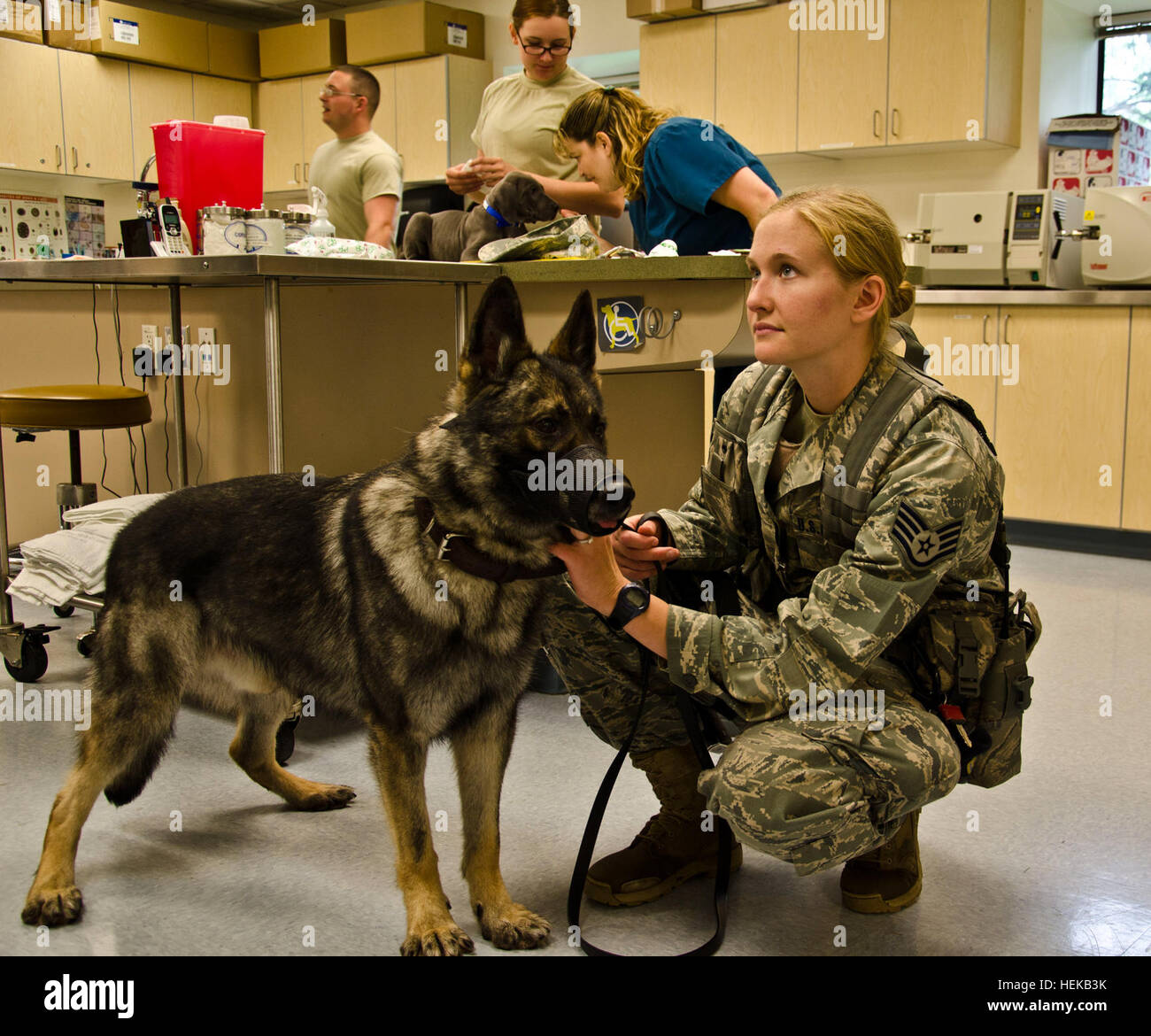 Veterinary corps officer hi-res stock photography and images - Alamy