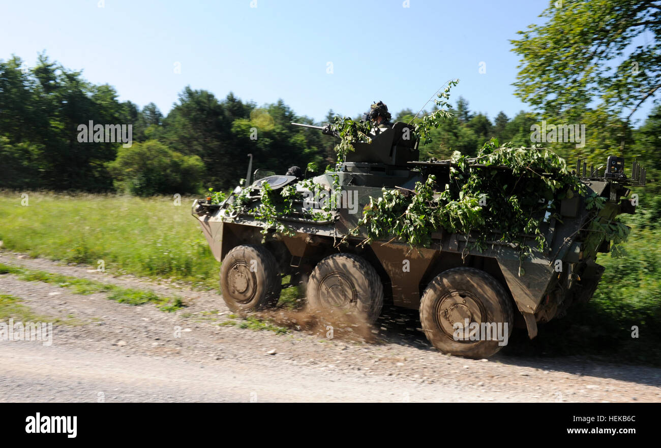 POSTONJA TRAINING AREA, Slovenia – A Slovenian Armed Forces Valuk ...