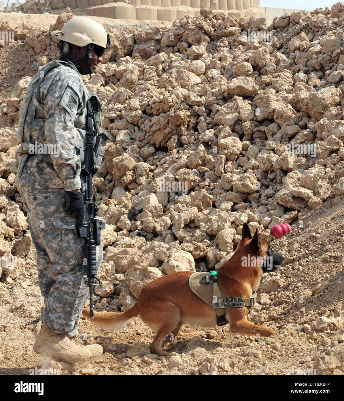 Sgt stanley daniels hi-res stock photography and images - Alamy