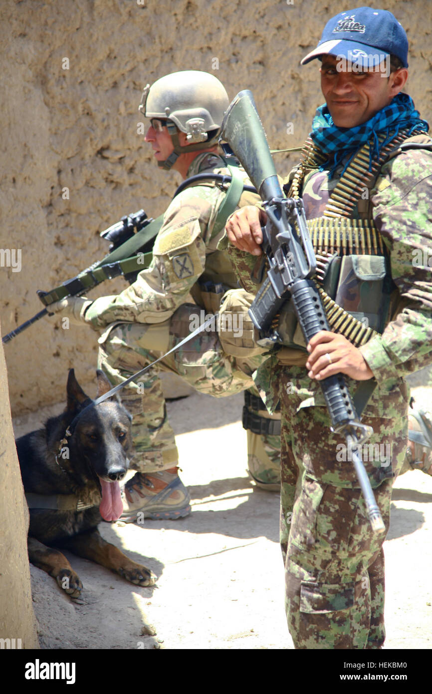 A U.S. Army soldier, a military working dog, and an Afghan National ...