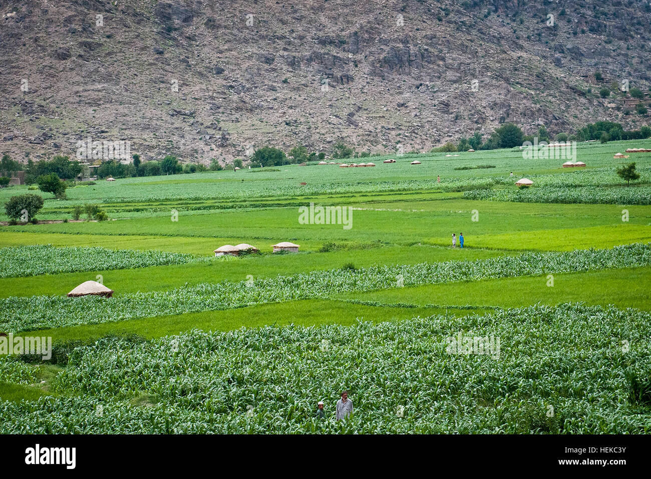 Villagers tend their fields in the Pech River Valley in eastern ...