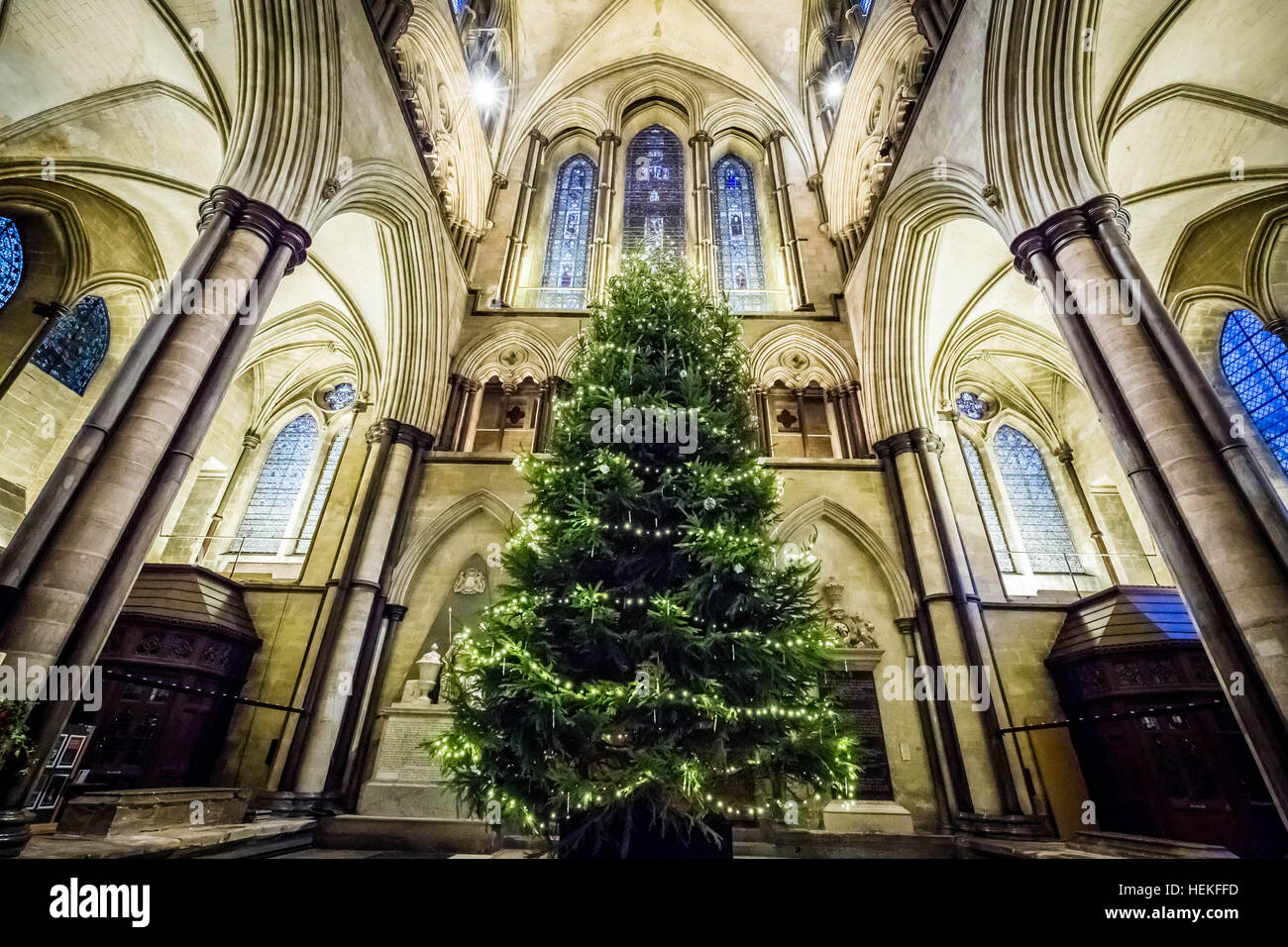The annual Christmas tree inside Salisbury Cathedral, Wiltshire, UK ...