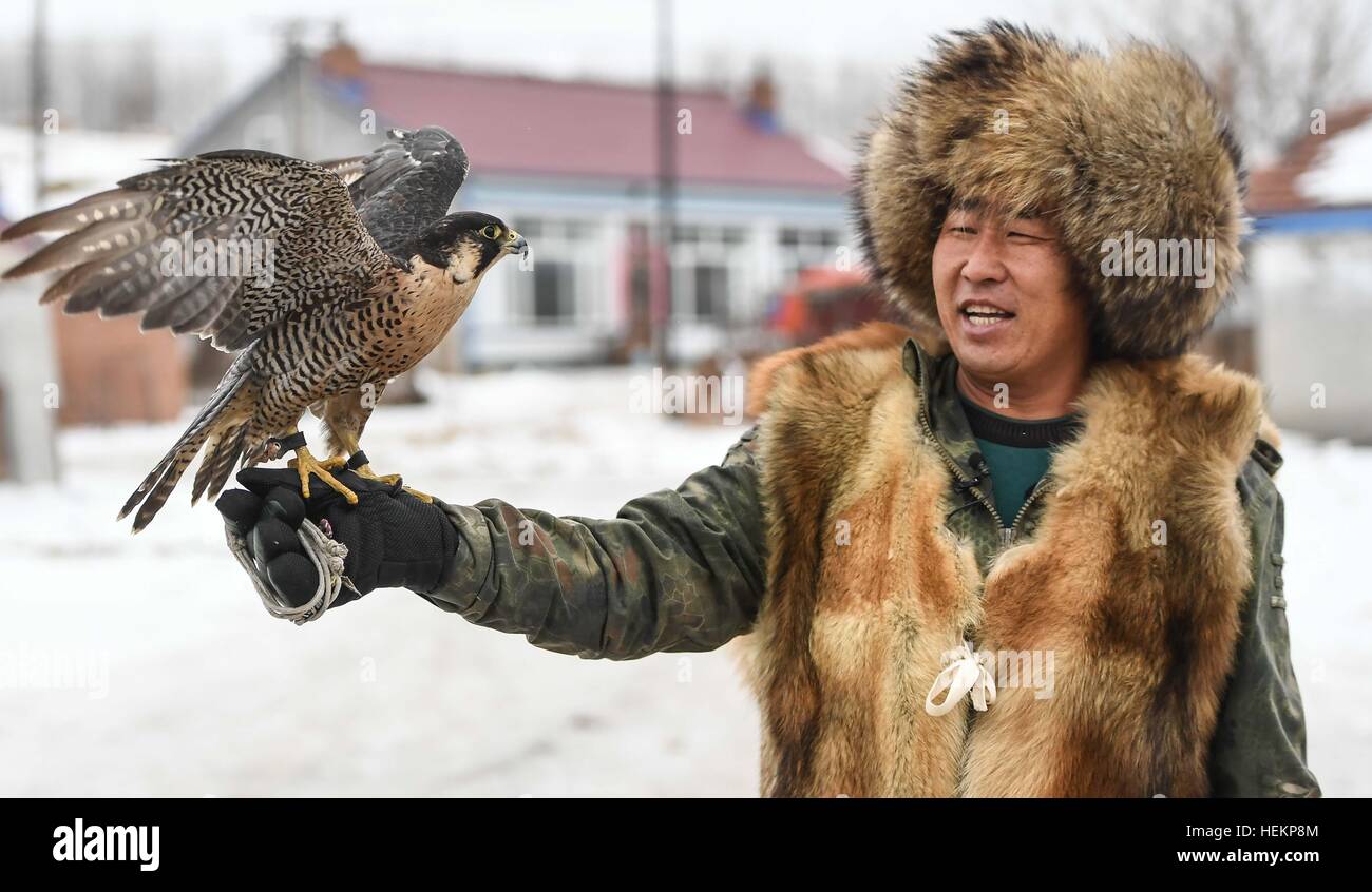 Rescuing a falcon hi-res stock photography and images - Alamy