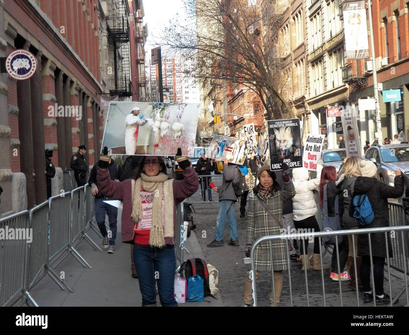 Canada goose protest hi-res stock photography and images - Alamy