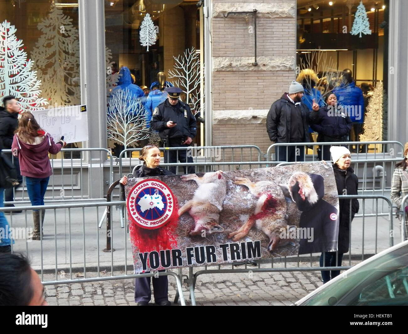 Canada goose protest new york hi-res stock photography and images - Alamy