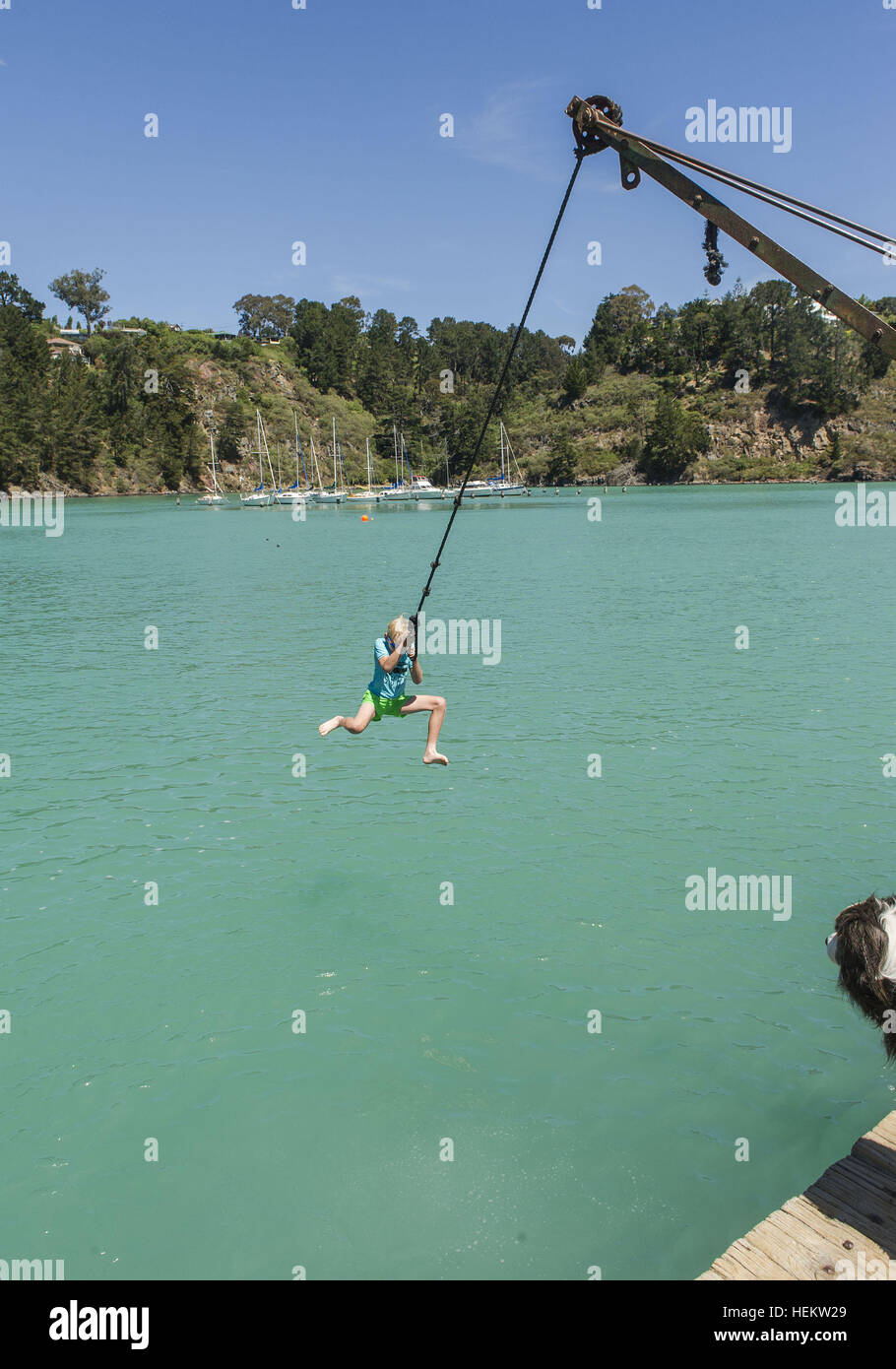 Diamond Harbour, New Zealand. 24th Dec, 2016. Youngsters enjoy using a ...