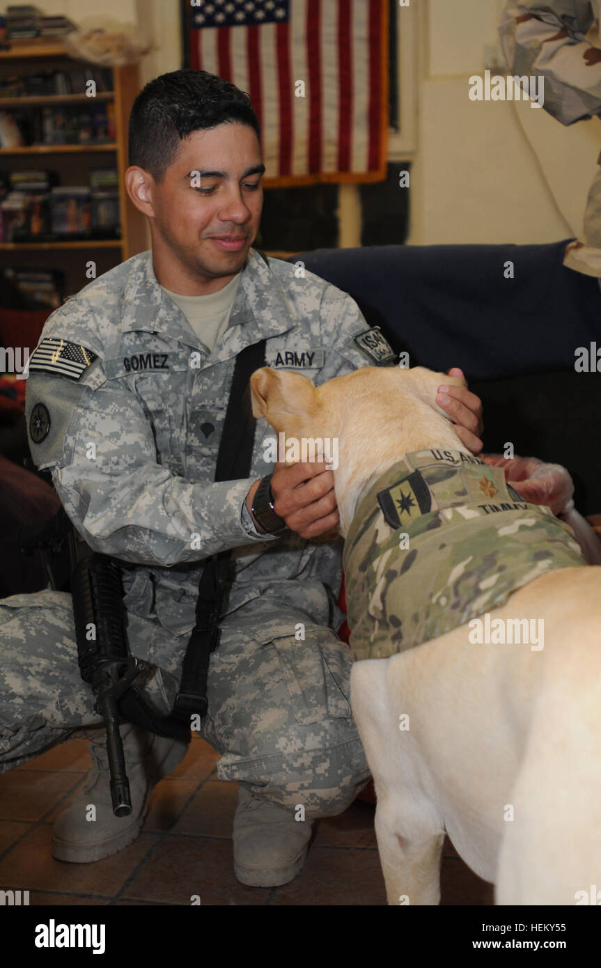 313th signal battalion hi-res stock photography and images - Alamy