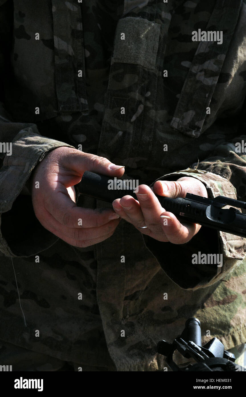 Capt. Andrea Sebree, a medical logistics officer with Headquarters and ...