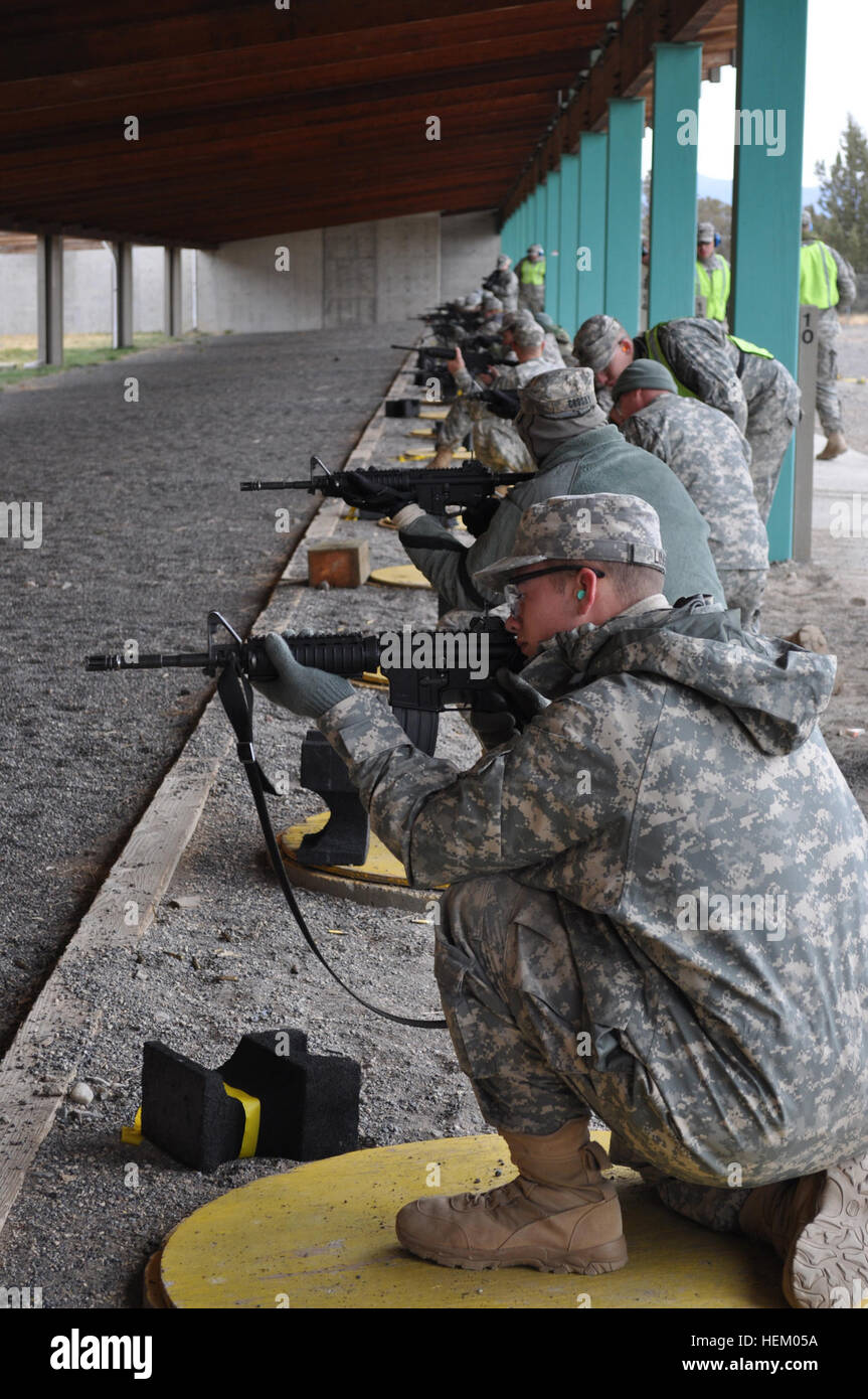 Soldiers of Alpha Company, 141st Brigade Support Battalion, 41st ...