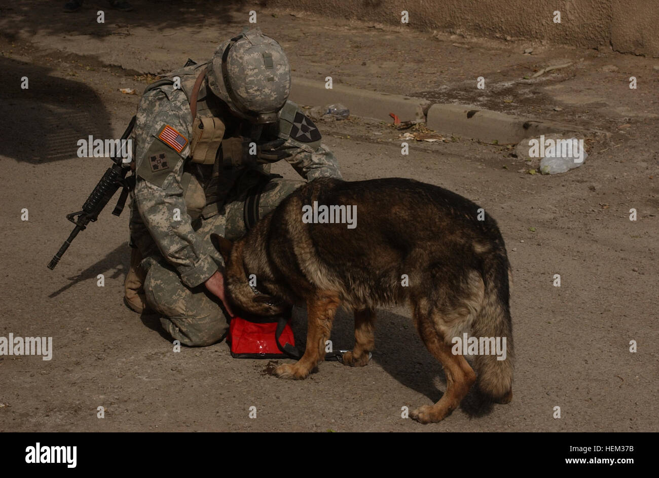 Part 1st military working dog regiment hi-res stock photography and ...