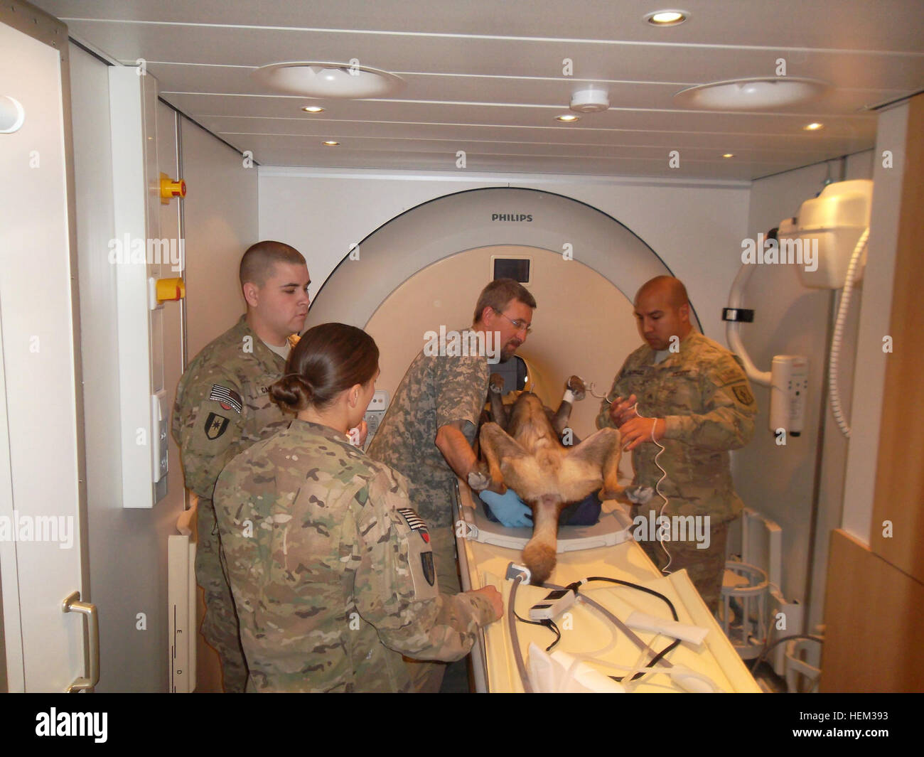 Role 3 multinational hospital hi-res stock photography and images - Alamy