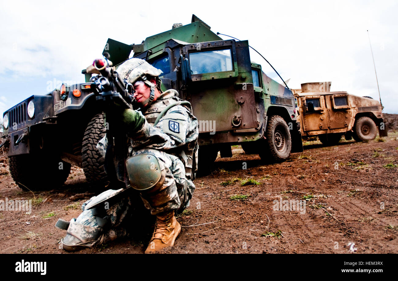 8th mp brigade from schofield barracks hi-res stock photography and images - Alamy