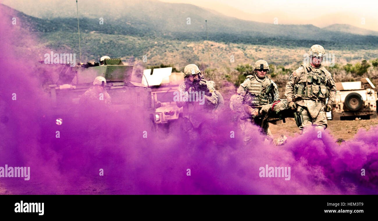 Soldiers assigned to the 558th Military Police Company, 728th MP ...