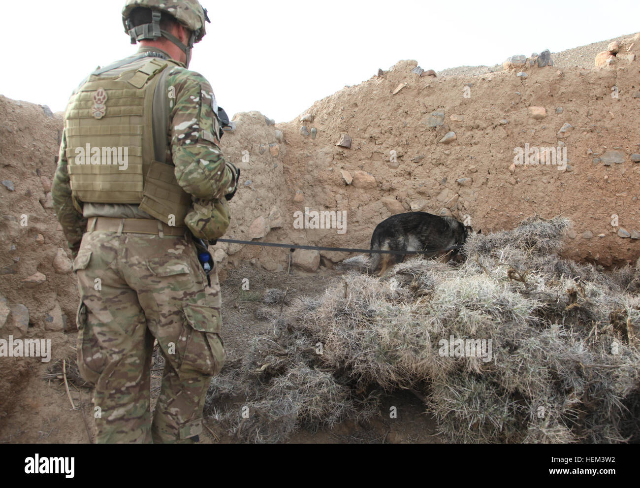 Afghan National Army soldiers and U.S. soldiers of Cowboy Troop, 1-126 ...